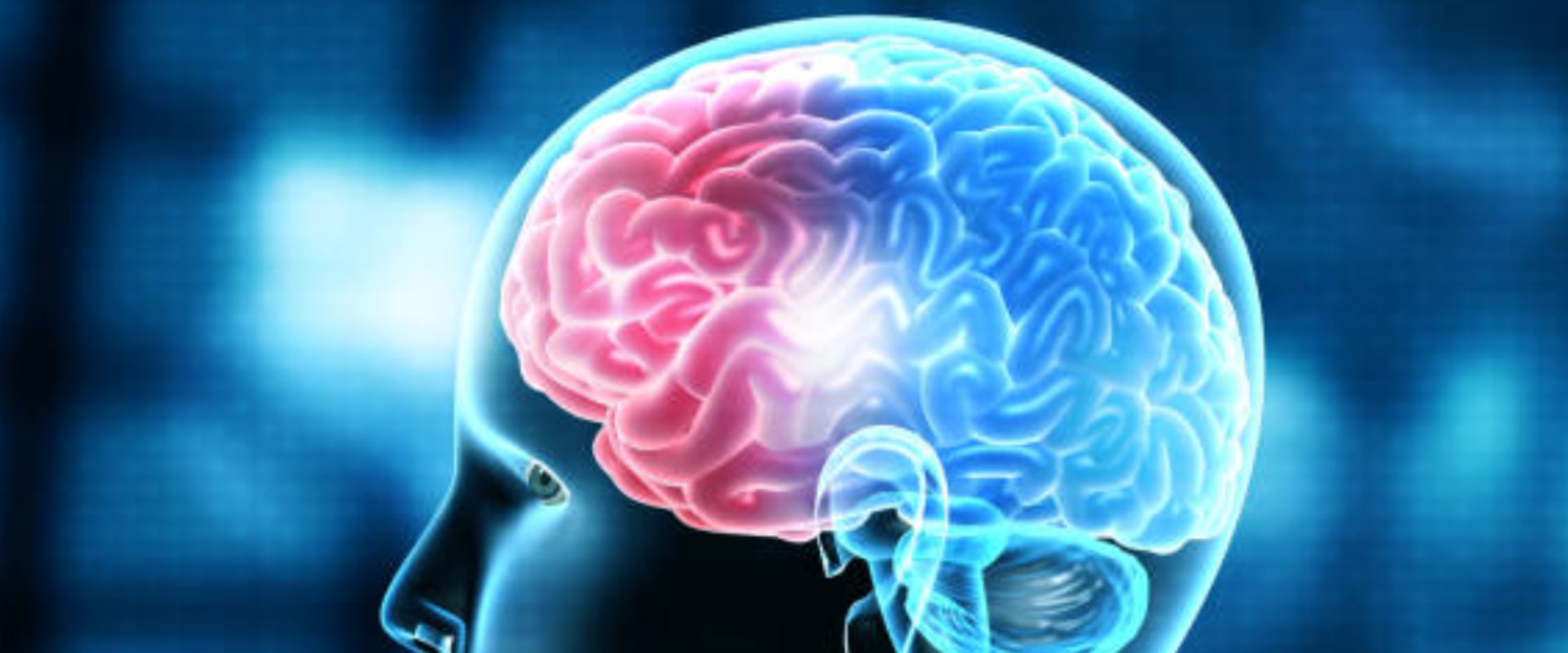 What is Brain Actives